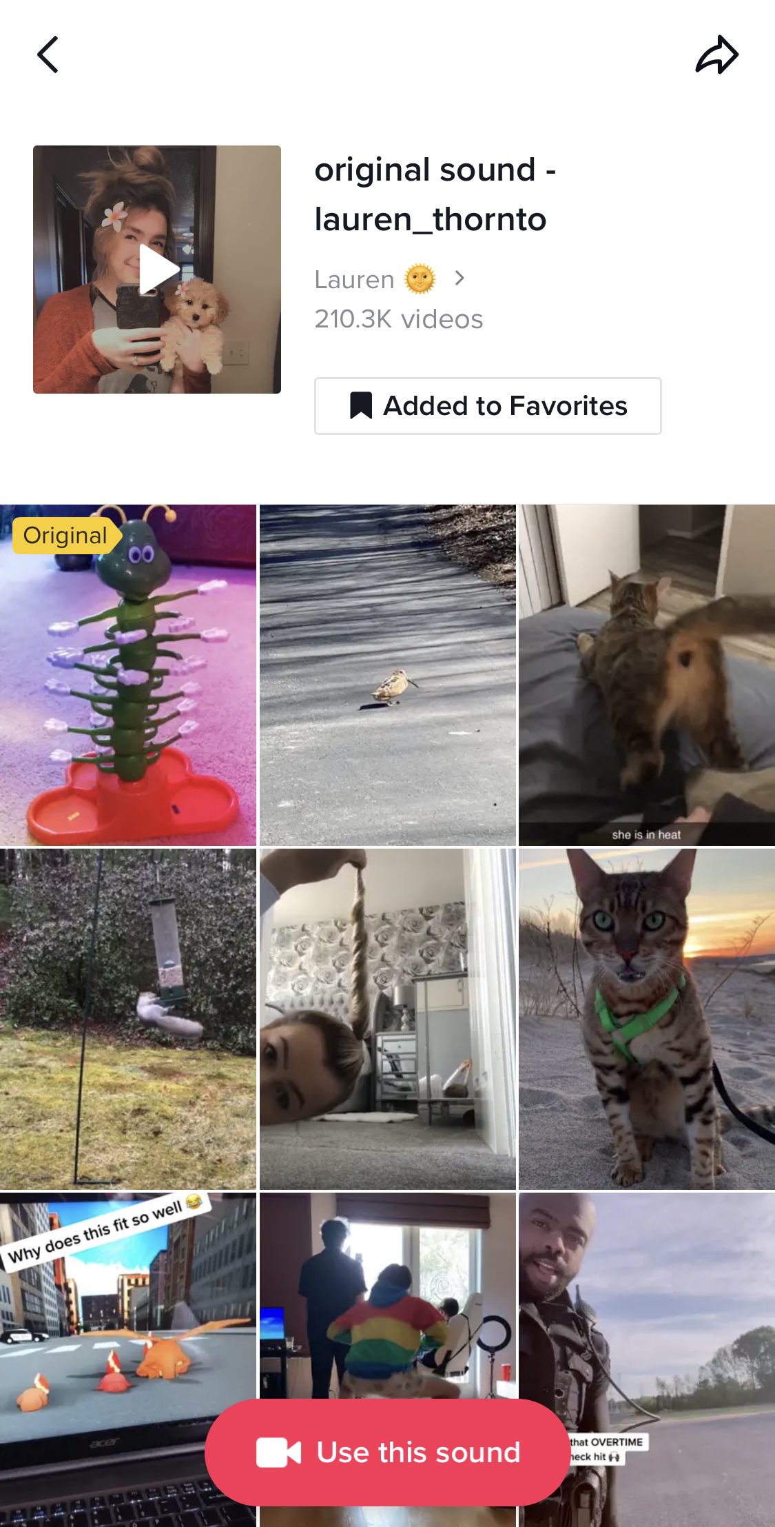 An Over 30 Millennial's Guide to TikTok | District Fray - Making Fun ...