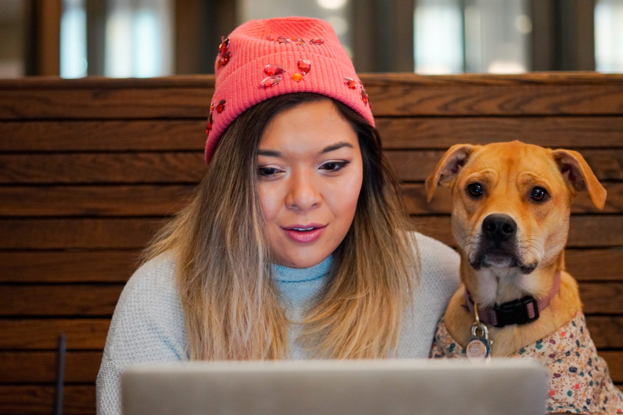 Your Guide to Dog-Friendly D.C. | District Fray - Making Fun Possible