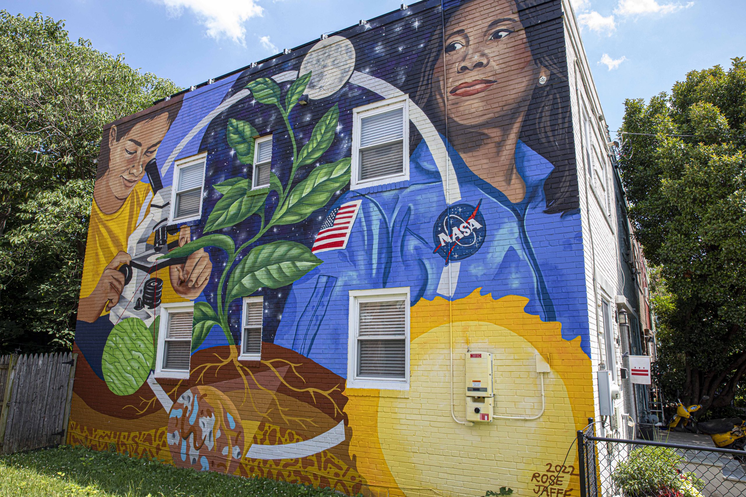 Who Paints Our Town: Catching Up With Artist Rose Jaffe | District Fray ...