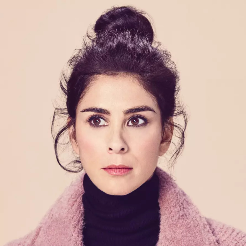 Sarah Silverman | District Fray - Making Fun Possible