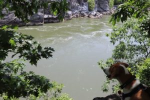 Wanderlust: Your Guide to Hiking Riverbend Park | District Fray