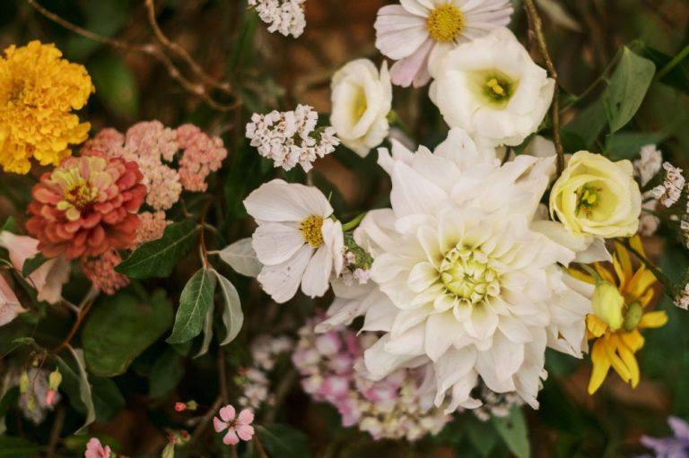 How To Make the Most of D.C.'s Flower Season | District Fray - Making ...