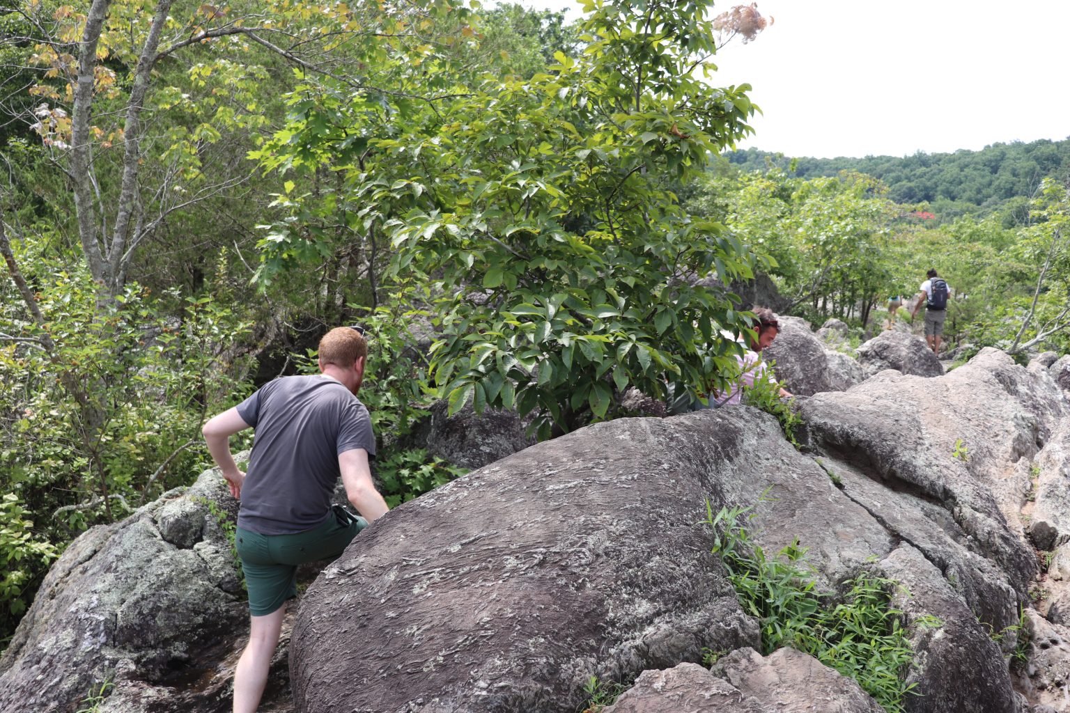 Wanderlust: Your Guide to Billy Goat Trail | District Fray - Making Fun ...