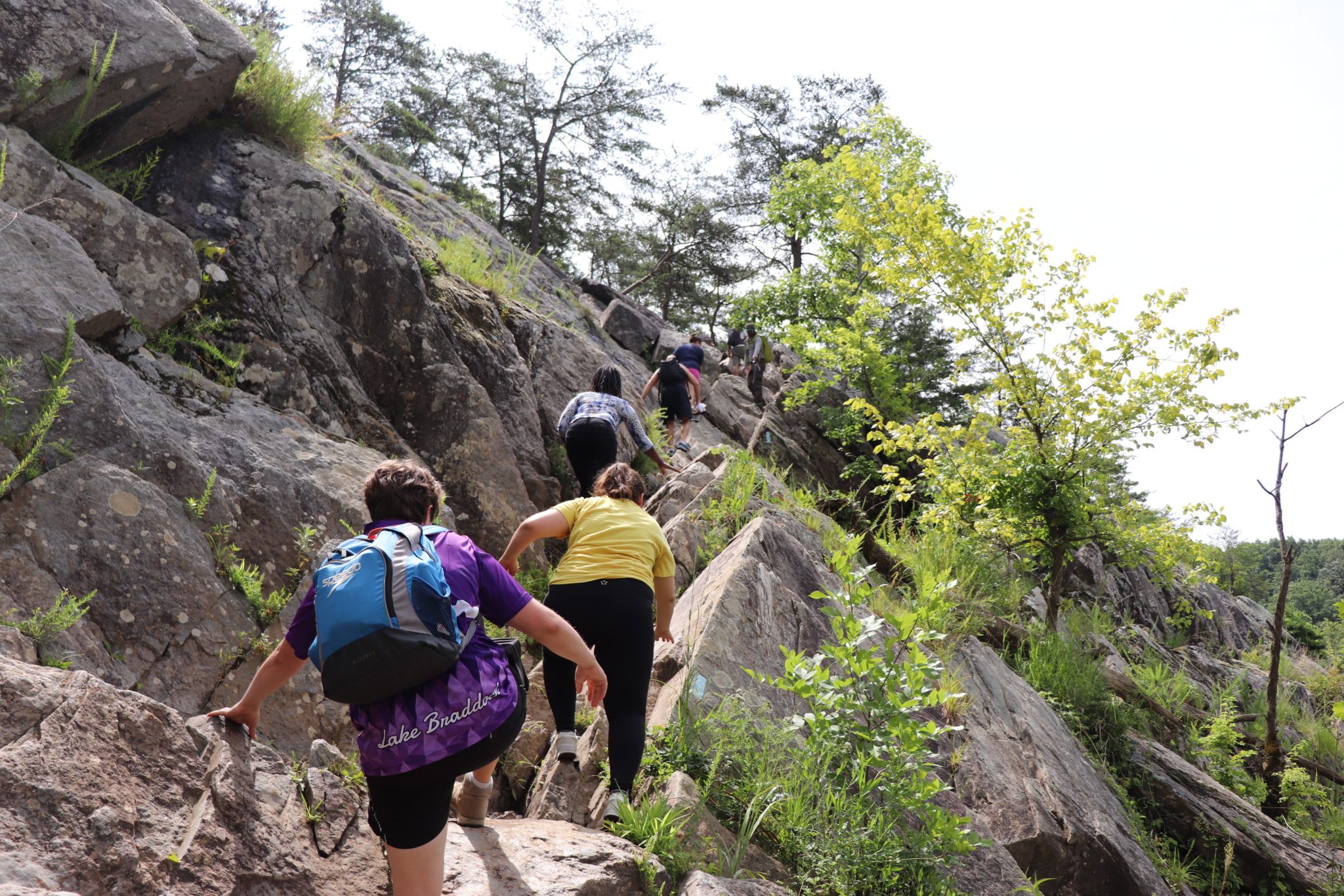 Wanderlust: Your Guide to Billy Goat Trail | District Fray - Making Fun ...