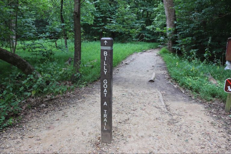 Wanderlust: Your Guide to Billy Goat Trail | District Fray - Making Fun ...