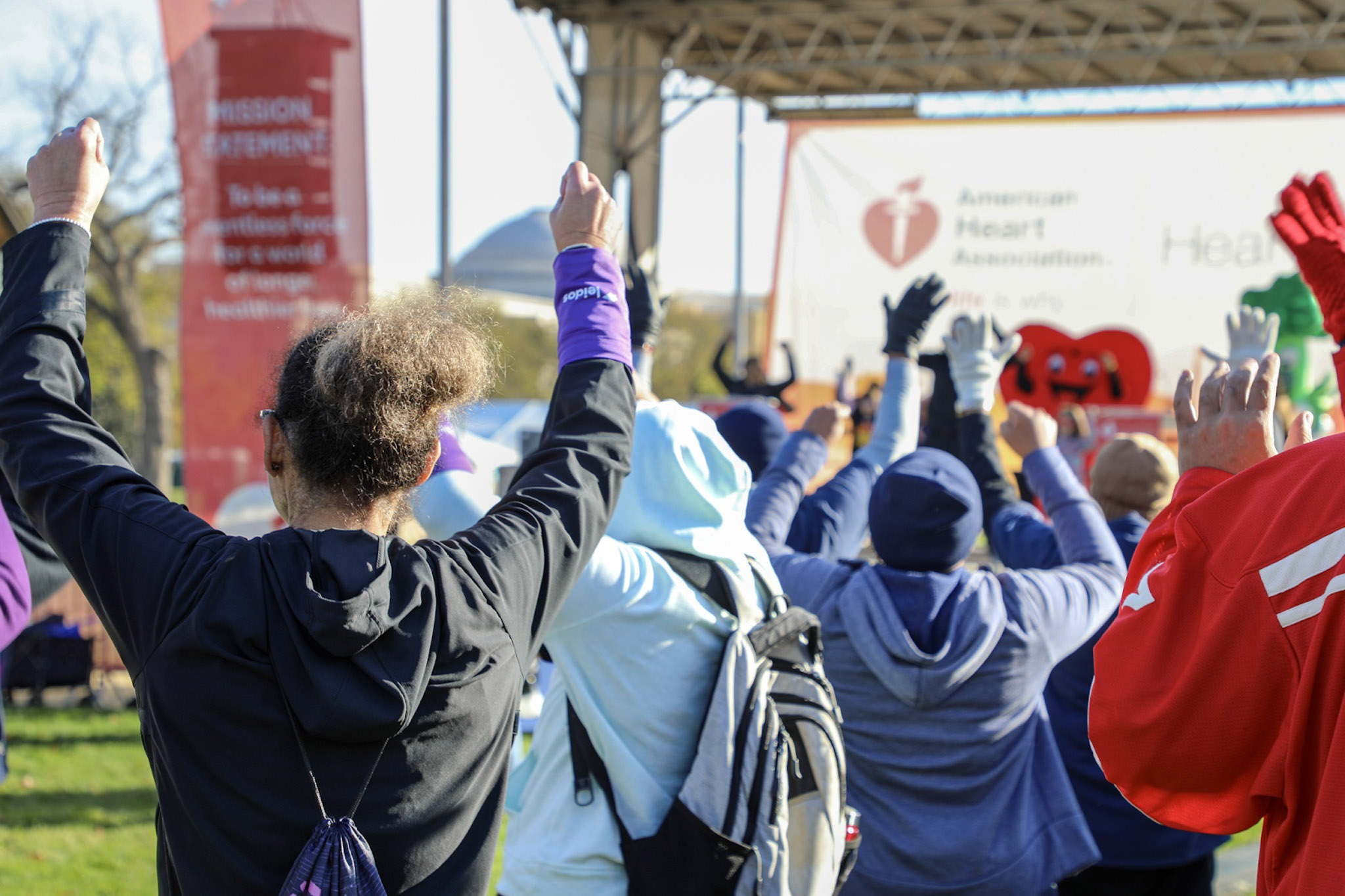 The Greater Washington Region Heart Walk Has Something for Everyone ...