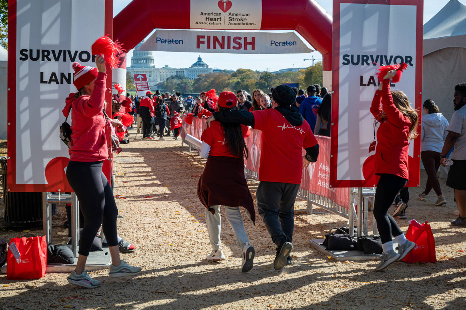 The Greater Washington Region Heart Walk Has Something for Everyone ...